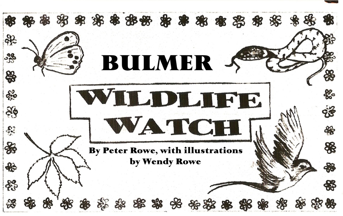 Nature Diaries - Bulmer & District History Group